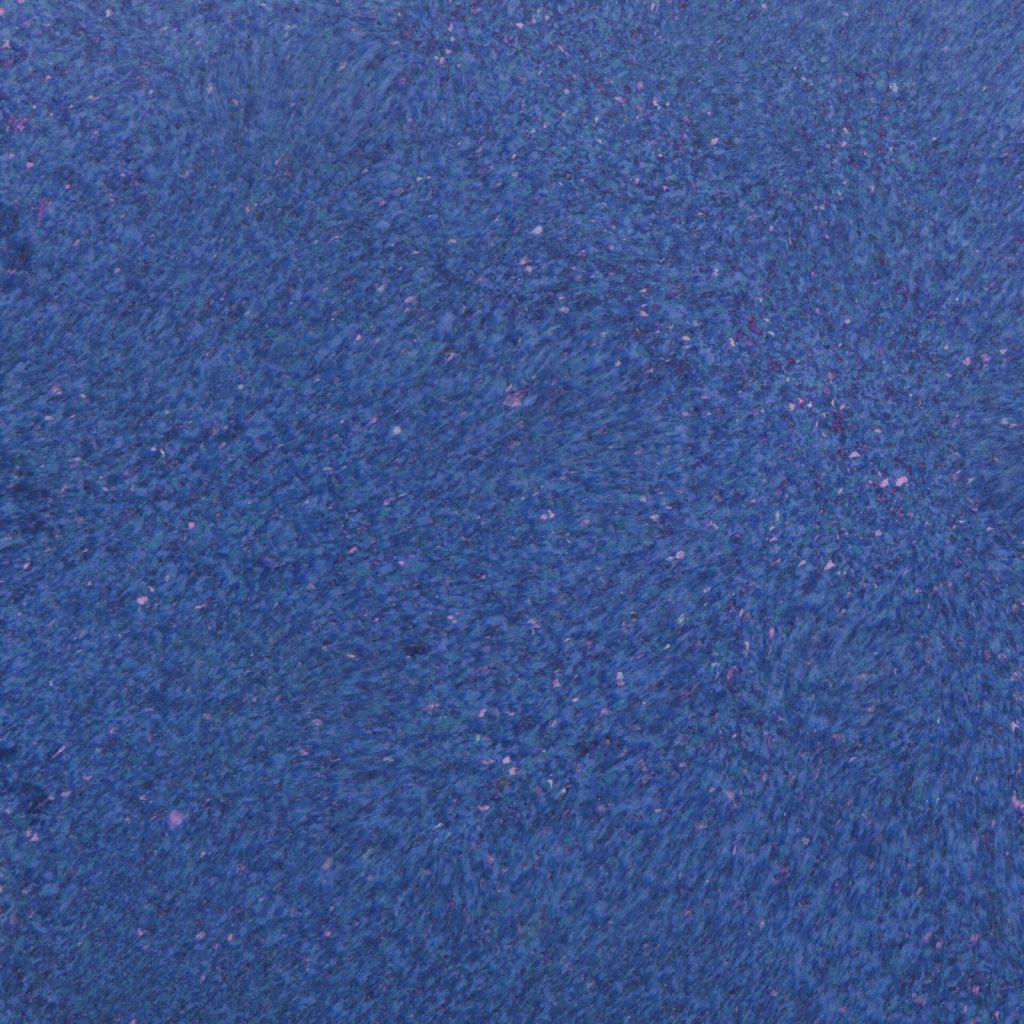 Poison Sheet – Olah Plastic